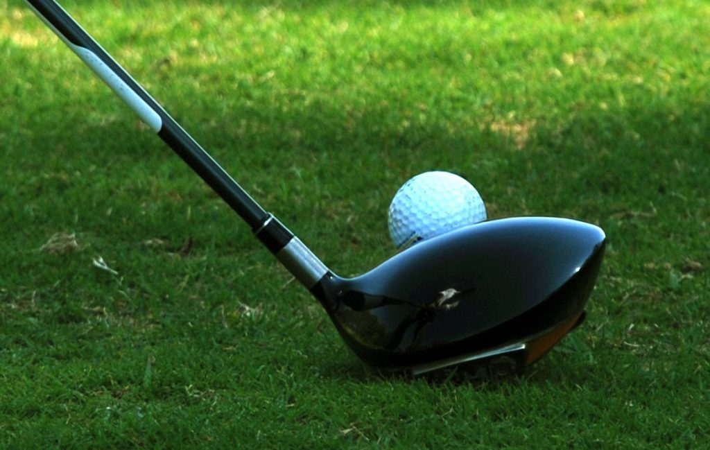 Golf Club Can Be Liable for Wasp Injury to Patron — South Florida ...